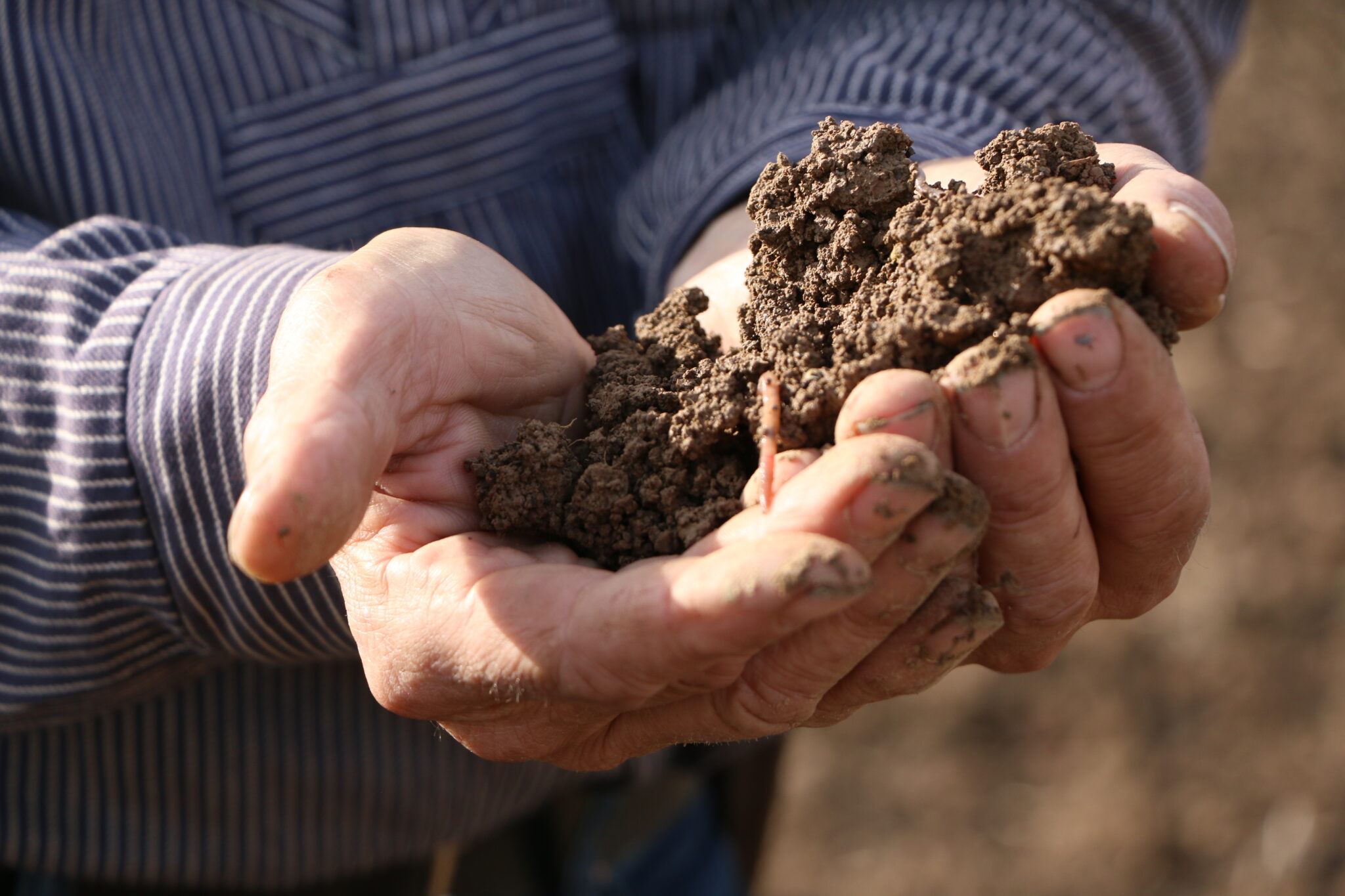 La biodynamie, qu'est ce que c'est ? - MABD