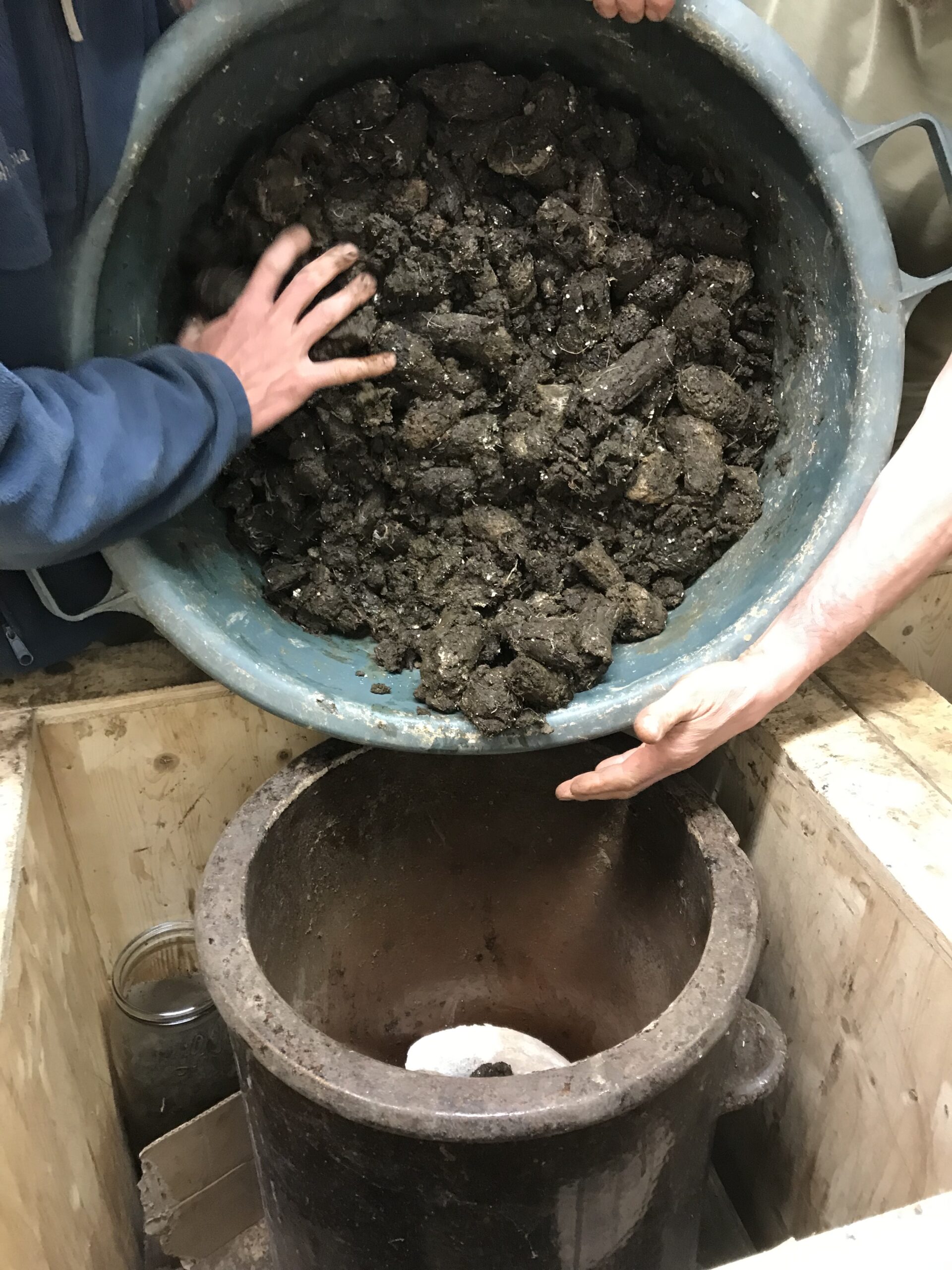 Bouse de corne et silice de corne, une complémentarité essentielle - MABD